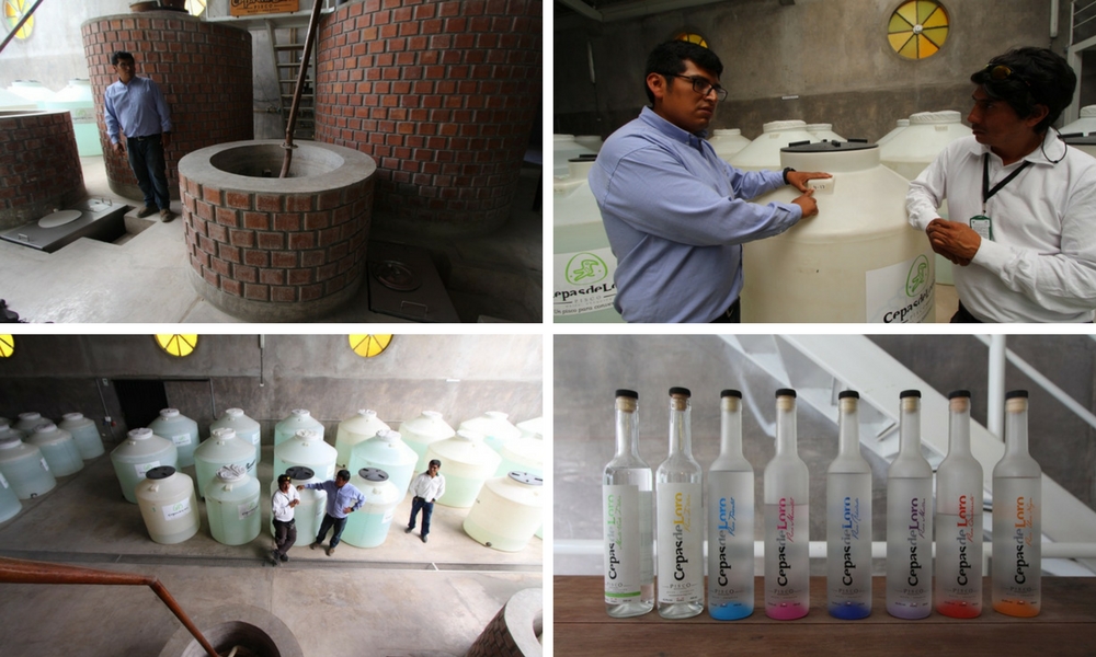 Arequipa's Pisco Route - Aracari Travel